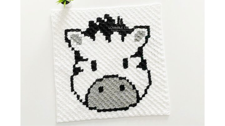 Discover 25 Stunning C2C Crochet Patterns - Absolutely Free! - love ...