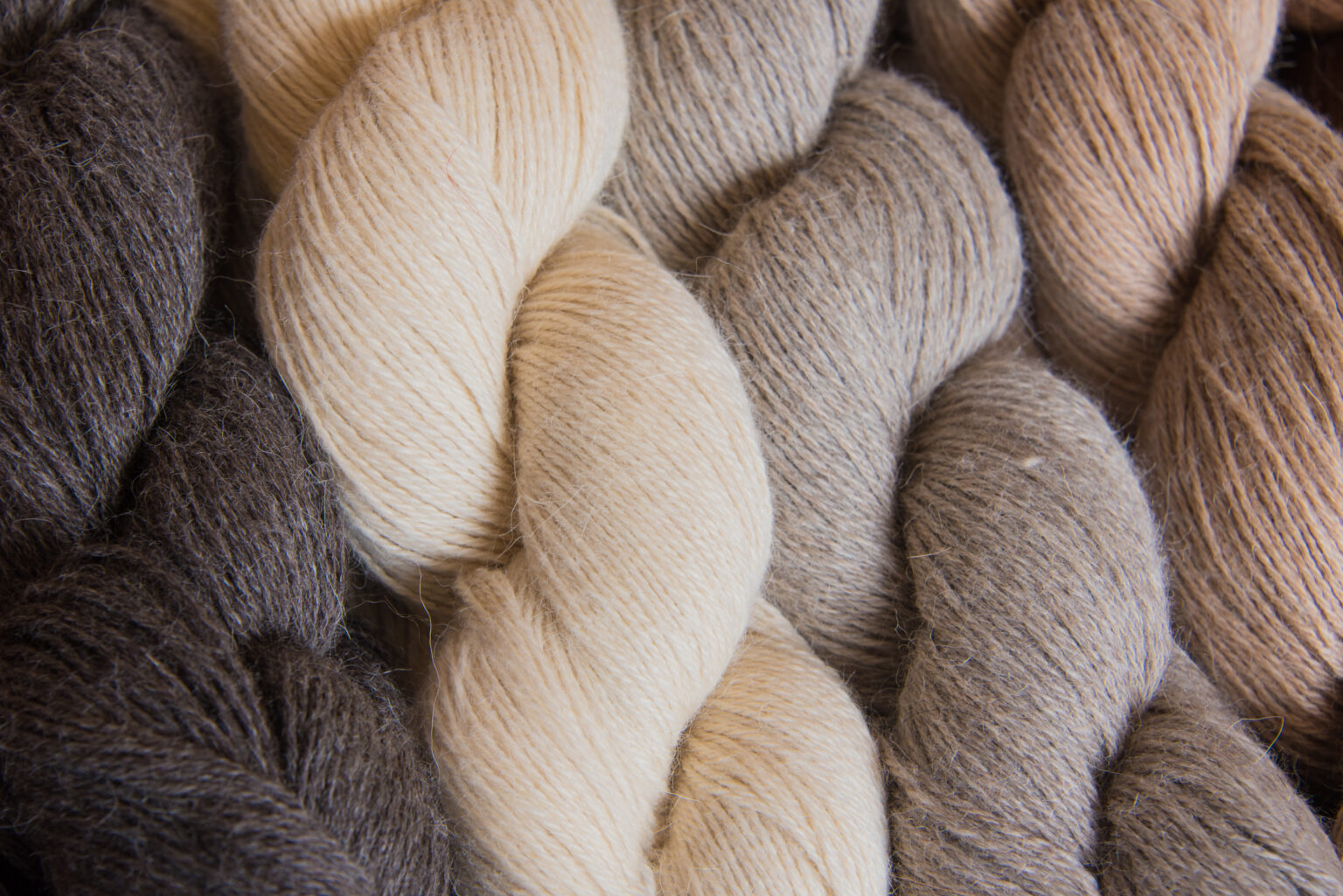Types of Yarn: A Quick Guide for Craft Lovers