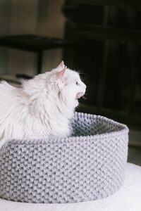 Cat Nap Central: 25 Free Patterns for Crochet Cat Beds - love. life. yarn.